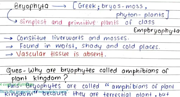 Bryophyta Handwritten Notes - Prime Notes
