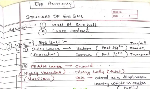 Eye Anatomy Notes - Prime Notes