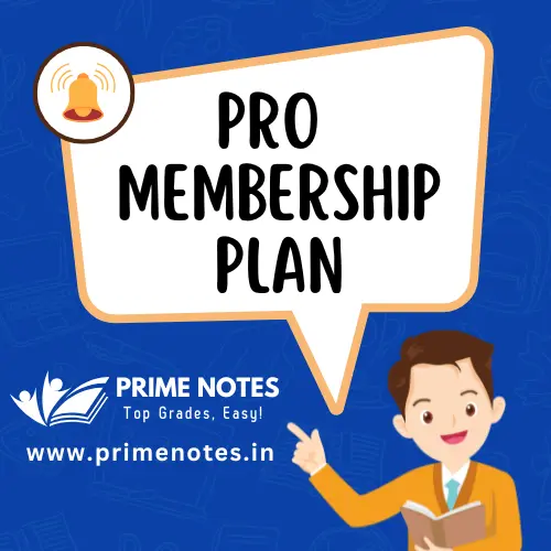 Professional Plan - Prime Notes